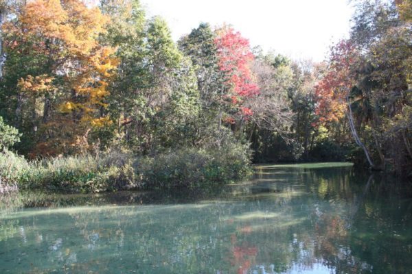 Photo Gallery - WWCC